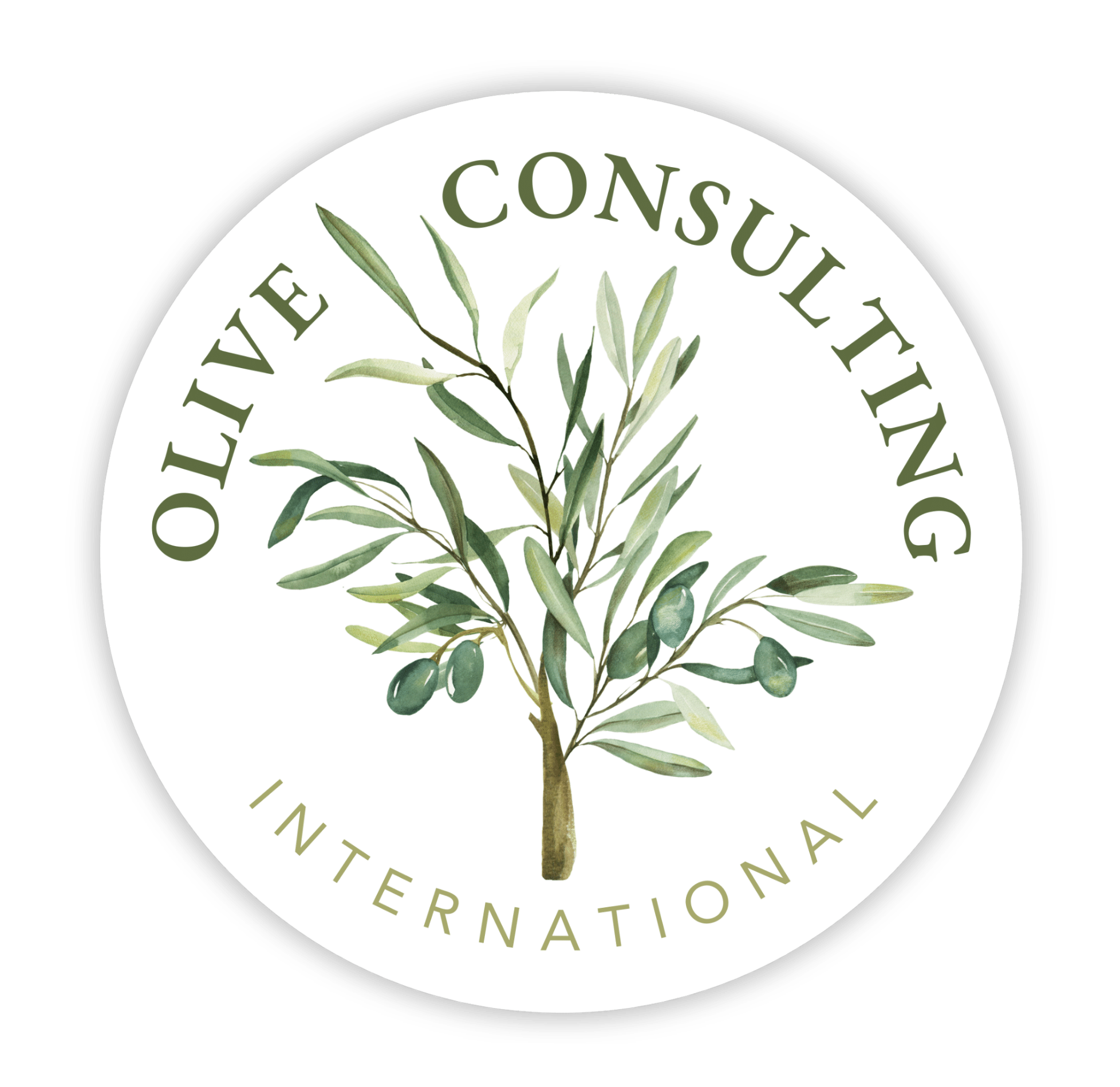 Consulting Services that elevate: Olive Consulting International